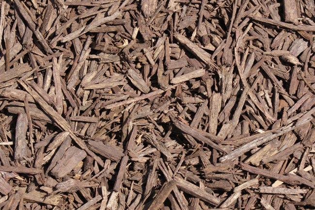 CHOCOLATE MULCH – SchramRock